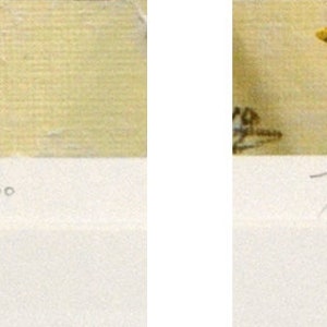 Stomp Raven and Barbed Wire Giclee Fine Art Print of Paper Sculpture - Etsy