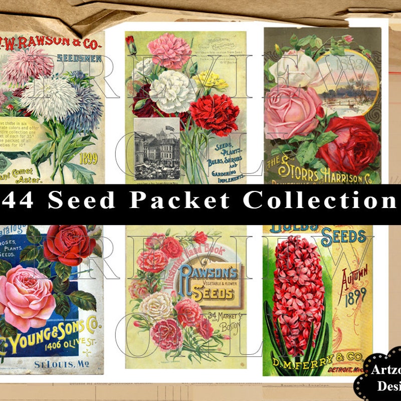 Antique Seed Packets - Etsy