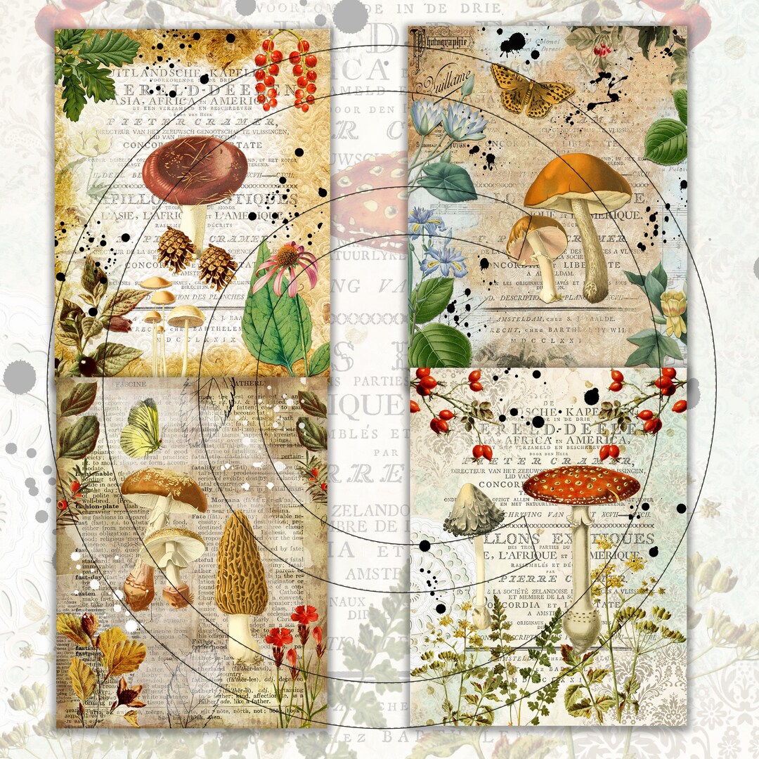 Mushroom Splendor Tear Sheets, Collage Paper, Vintage Paper, Scrapbook ...