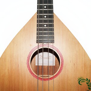 Handmade Ukrainian Folk 4 Strings Guitar Bass Kobza Wooden Graphic ...