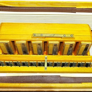 Hohner Accordion Diatonic Double Cassotto Button Accordion Rare ...