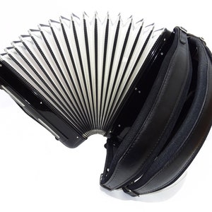 Hohner Morino Club N Diatonic Double Cassotto Button Accordion, Made in ...