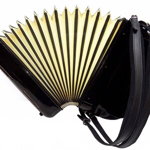 Hohner Accordion Diatonic Double Cassotto Button Accordion Rare ...