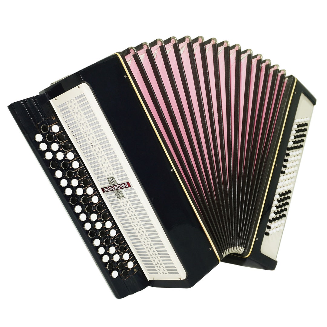 Button Accordion Musical Instrument 3 Rows 100 Bass Buttons - Etsy