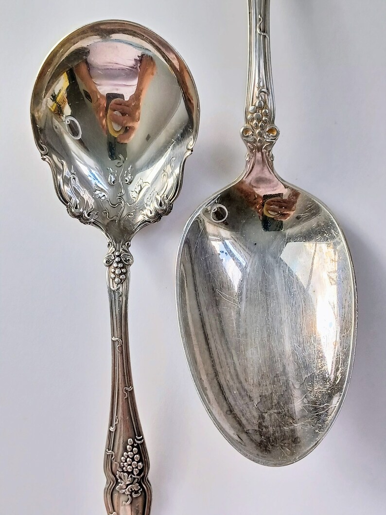 Rogers Brothers Grape Pattern Serving Set - Sugar, Butter, Spoon - Etsy