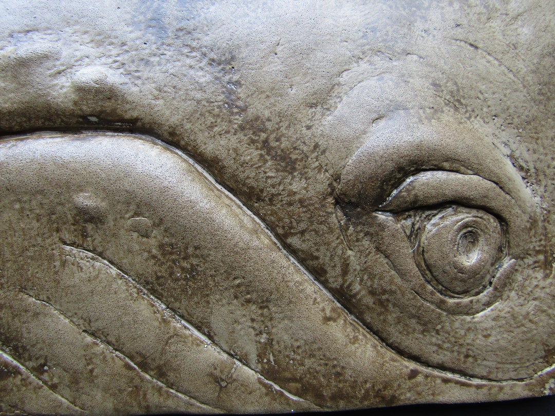 Whale Eye Concrete Decorative Tile Art - Etsy