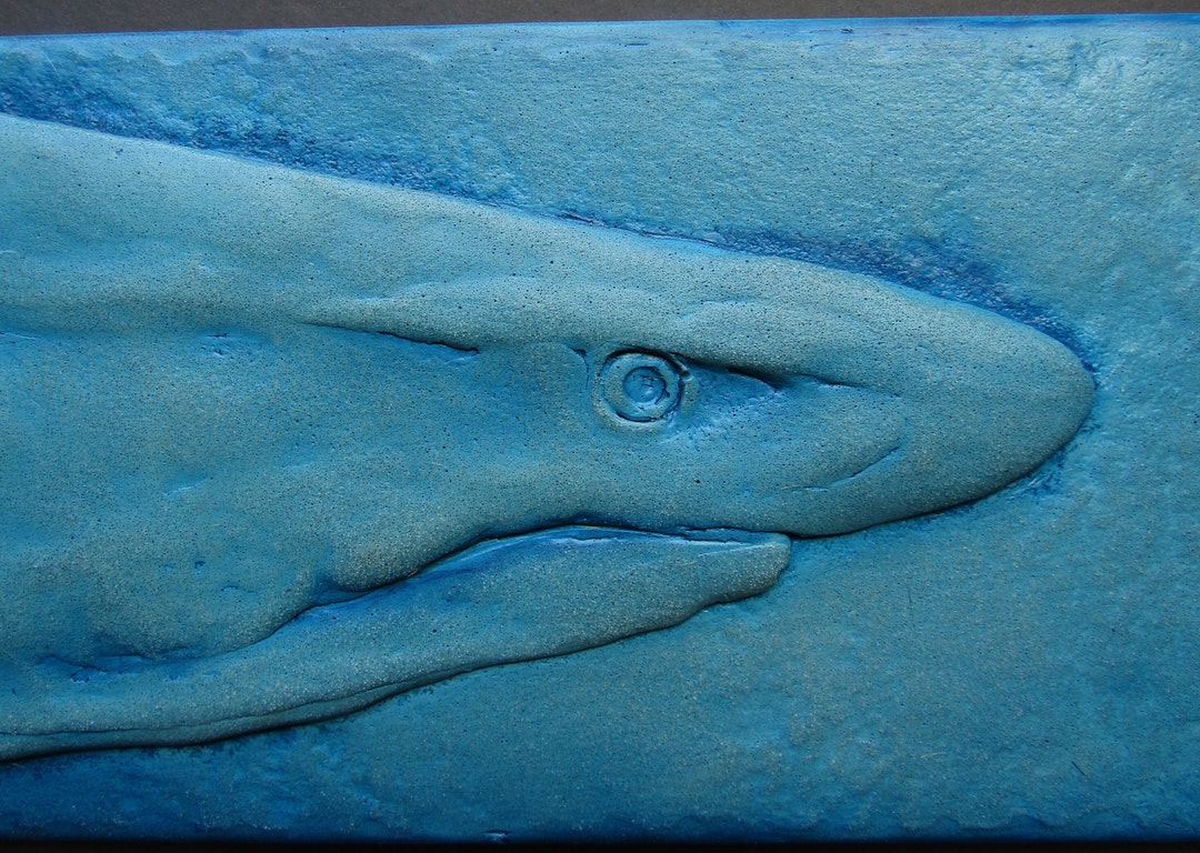 Reef Shark Portrait Concrete Custom Tile - Etsy