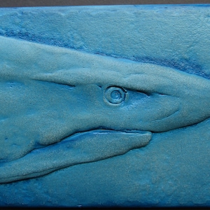 Reef Shark Portrait Concrete Relief Tile - Etsy