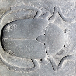 Scarab Black Concrete Sculpture Tile Ancient Egyptian - Etsy