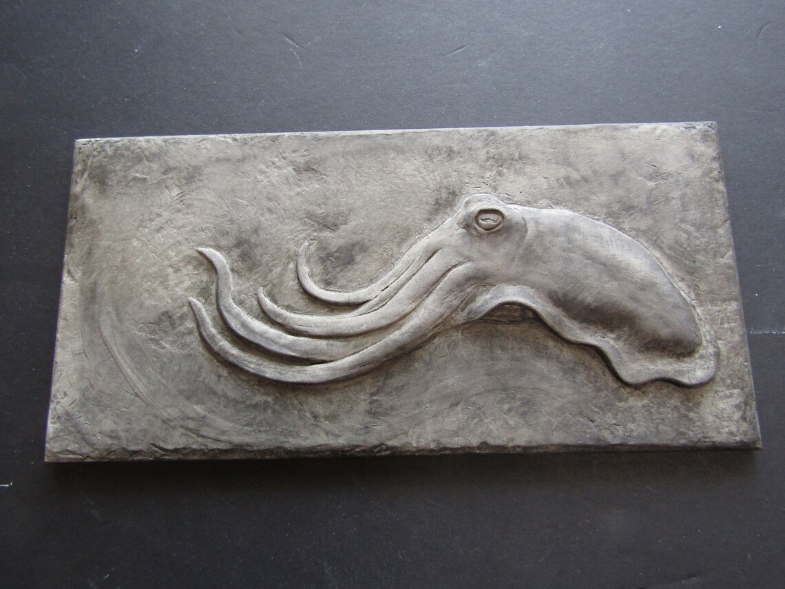 Concrete Cuttlefish Wall Sculpture Art Tile - Etsy