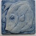 Fish Powder Blue Surgeon Decorative Wallsculpture Picture - Etsy