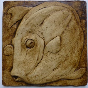 Fish Powder Blue Surgeon Decorative Wallsculpture Picture - Etsy