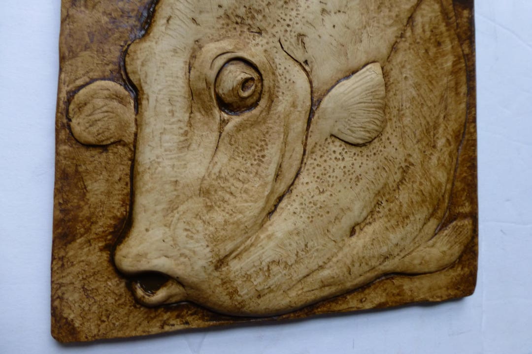 Fish Powder Blue Surgeon Decorative Wallsculpture Picture - Etsy