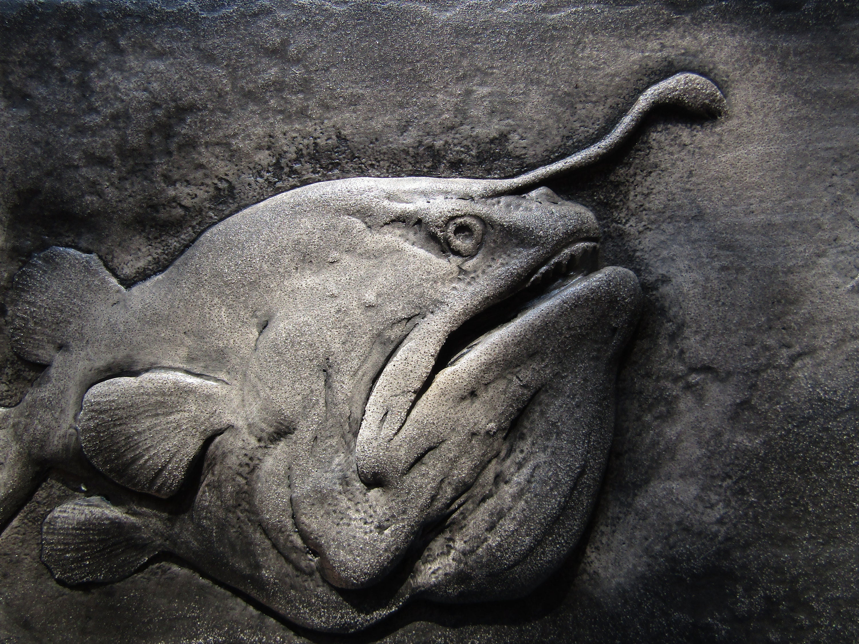 Angler Fish and Shrimp Concrete Decorative Sculpture Tile - Etsy