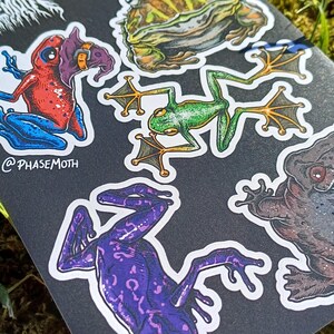 Frogs and Toads Sticker Sheet: Cottagecore Amphibian Vinyl Stickers (A6 ...
