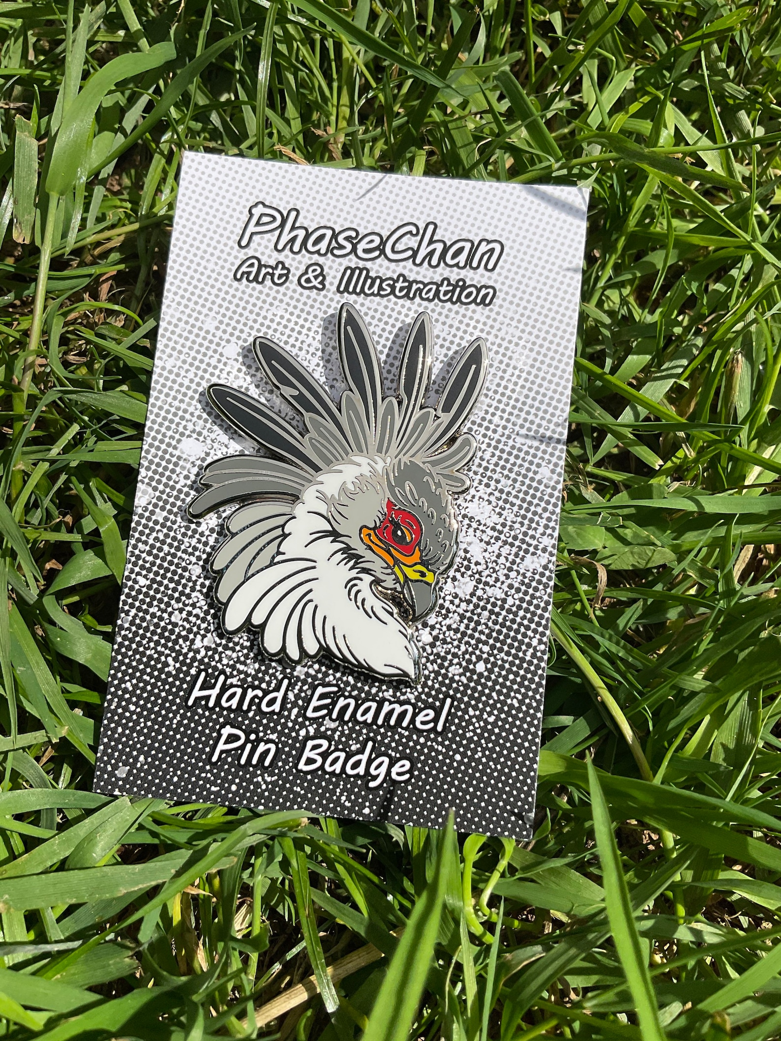 Secretary Bird Silver Hard Enamel Pin Bird Pin Badge - Etsy