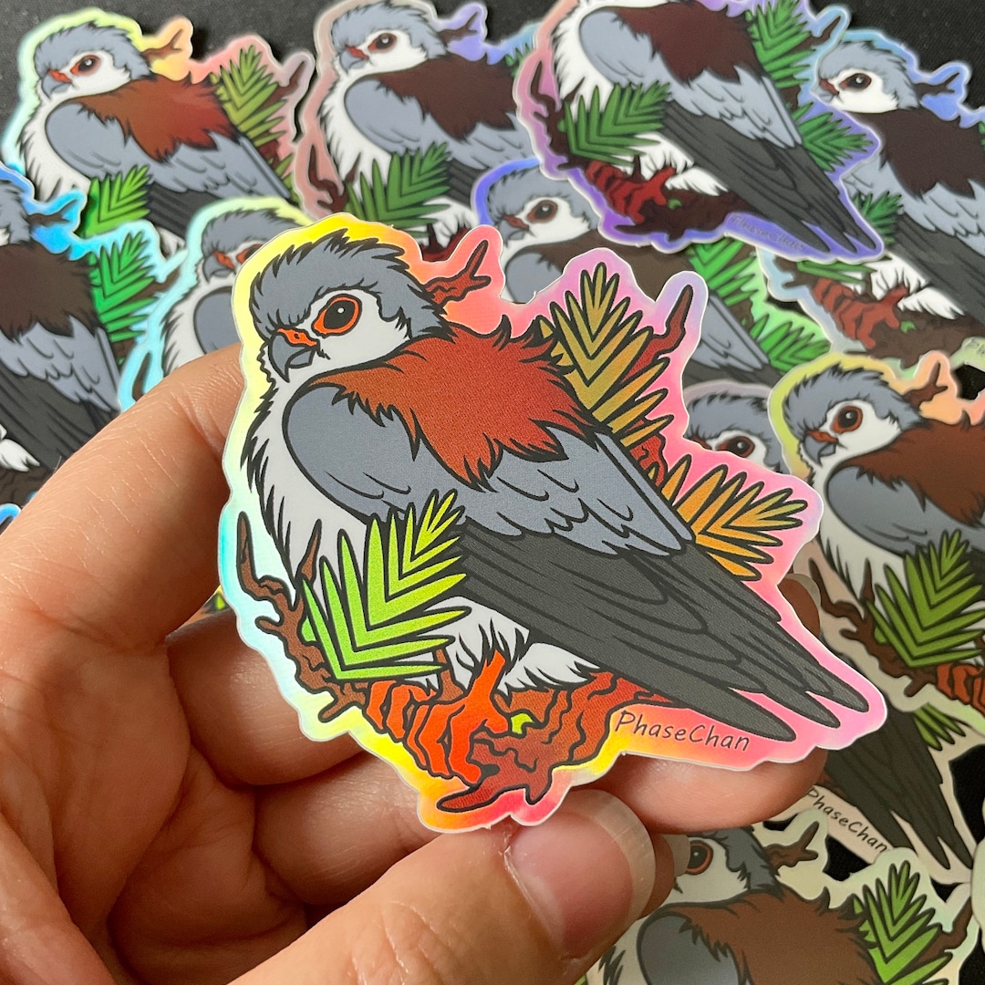 Pygmy Falcon Holographic Vinyl Sticker - Bird of Prey Decal - Etsy