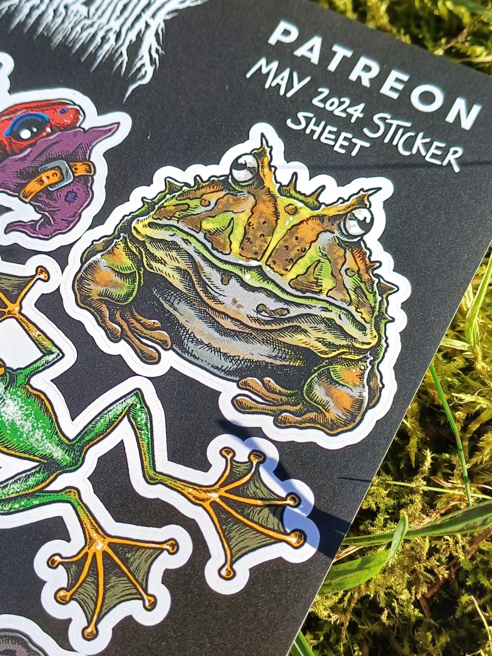 Frogs and Toads Sticker Sheet: Cottagecore Amphibian Vinyl Stickers (A6 ...