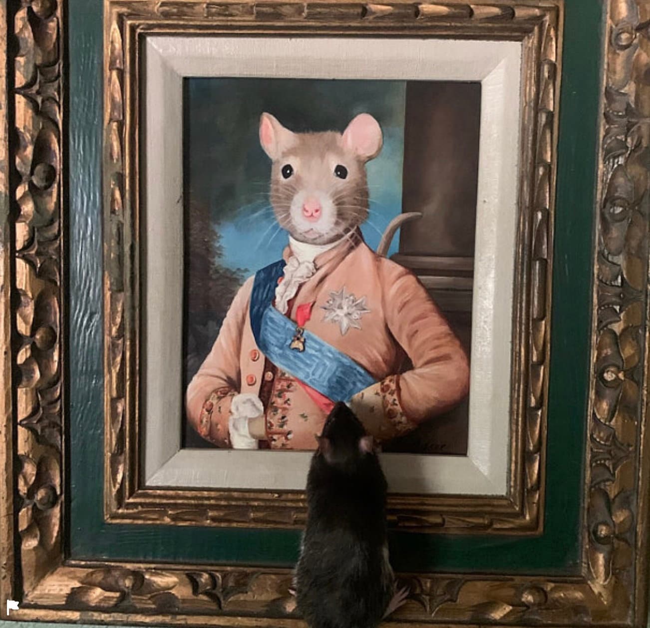 Pet Rat Prints Sir Walter Ratleigh Vintage Rat Art Rat in - Etsy Sweden