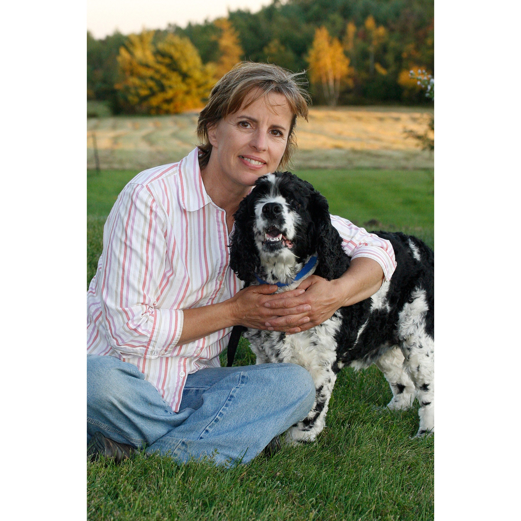 Spaniel Canvas Print, Sir James, English Springer Spaniel, Dog in ...