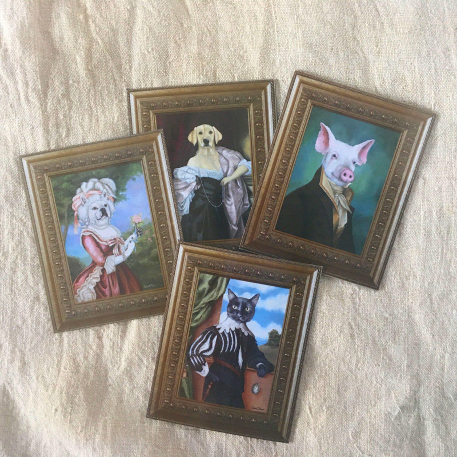 New Kitten Gift Best Gifts for Cats Cat Lady Cat Magnet | Etsy