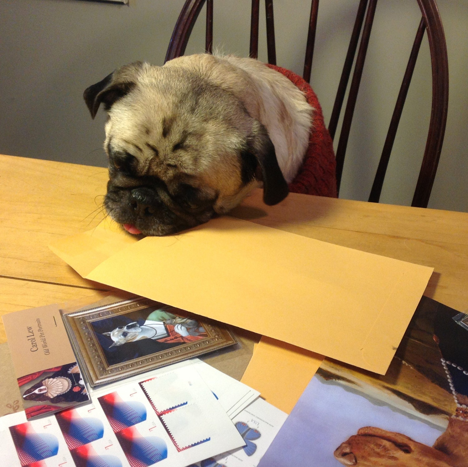 Westie Prints 5x7 West Highland Terrier Molly Mcgee Dog | Etsy