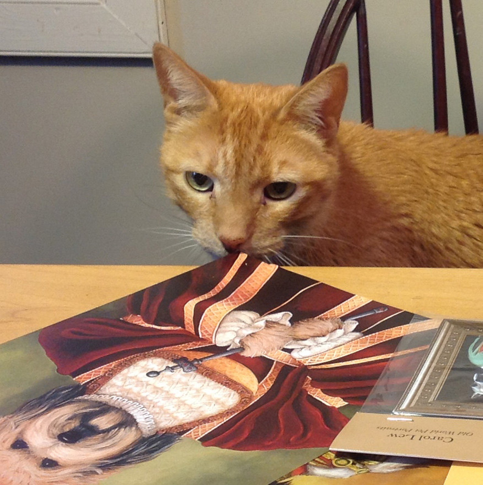 Cat Lady Gift Ideas Cat Fridge Magnets Cat With A Pearl | Etsy