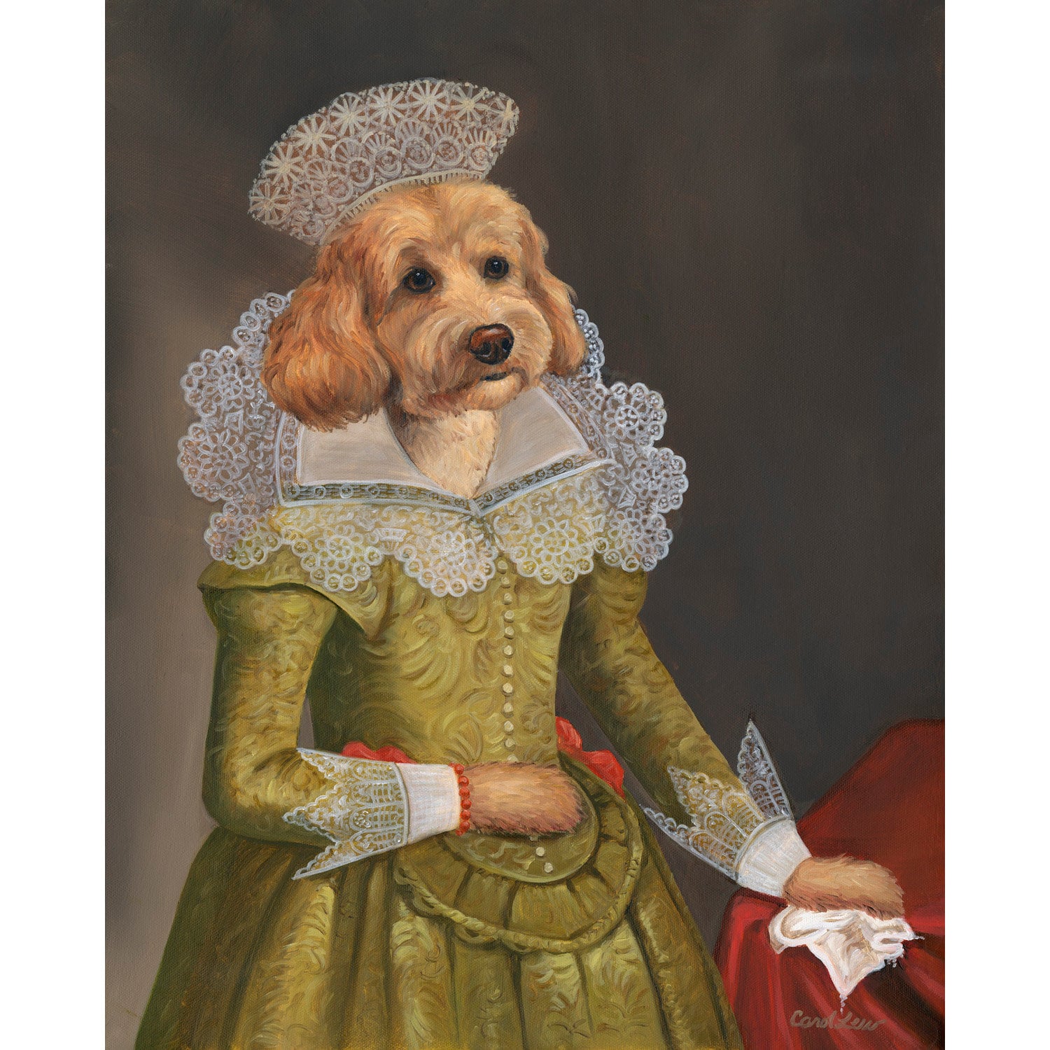 Goldendoodle Clothes