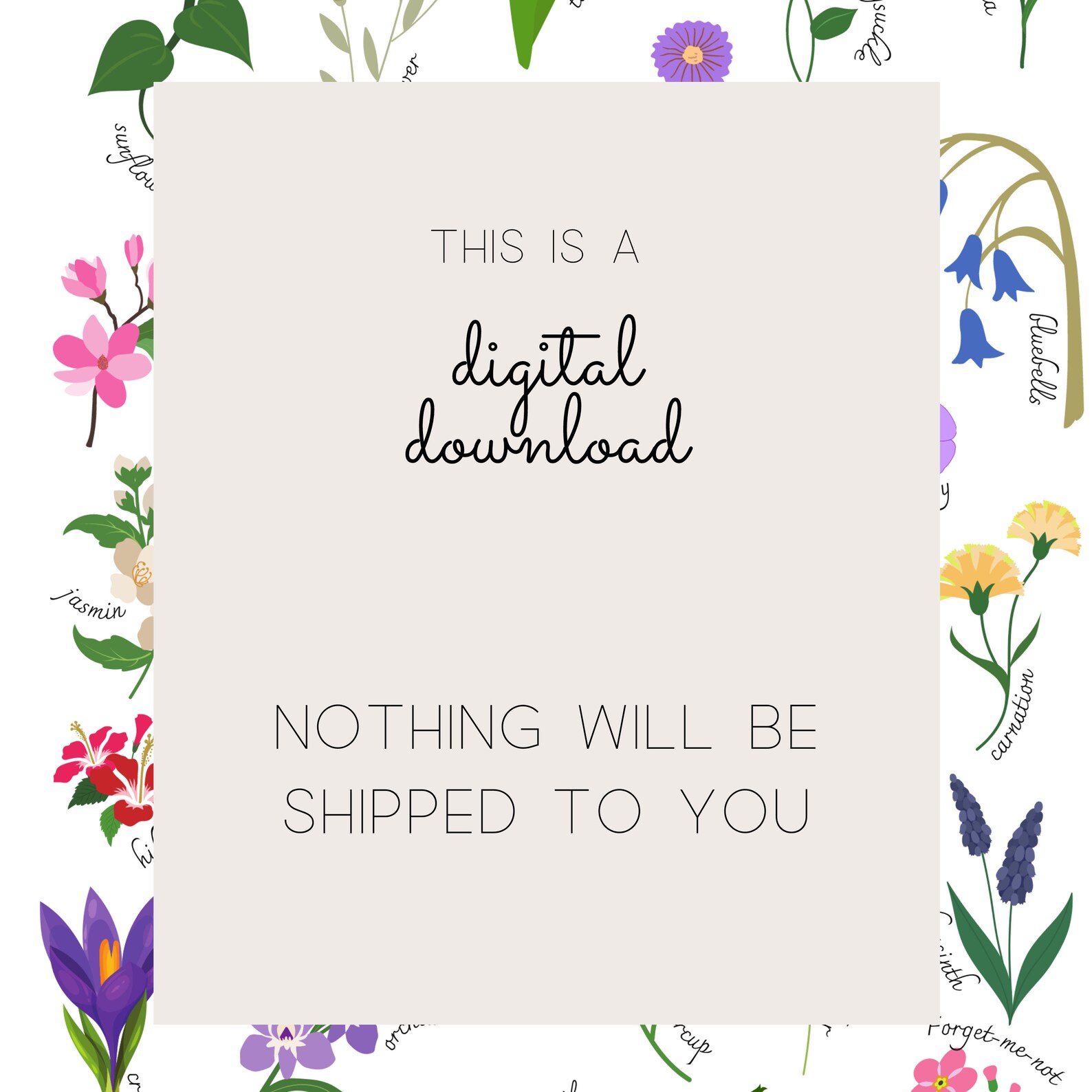 Flower Identification Sheet