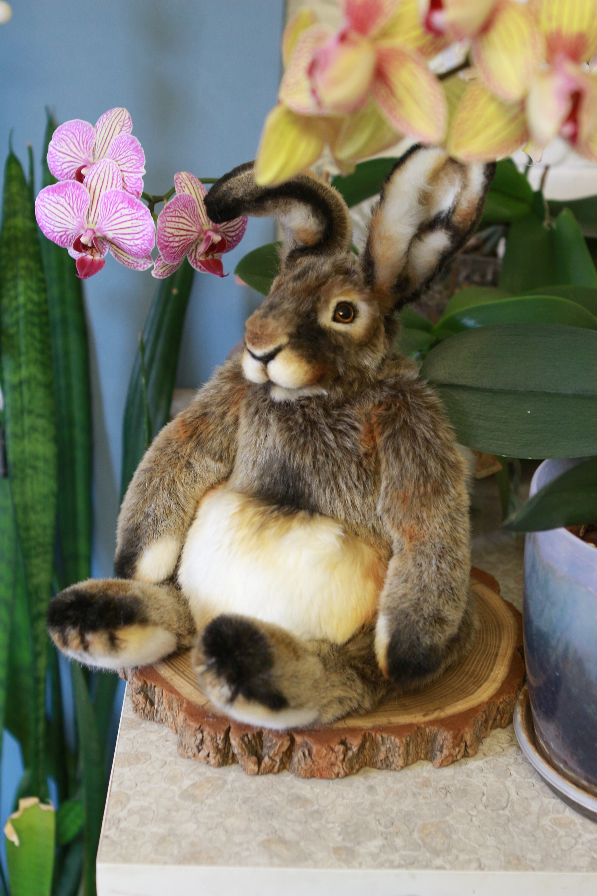 Rabbit Toy PDF Pattern, Beatrix Potter Sewing Pattern, Stuffed Bunny ...