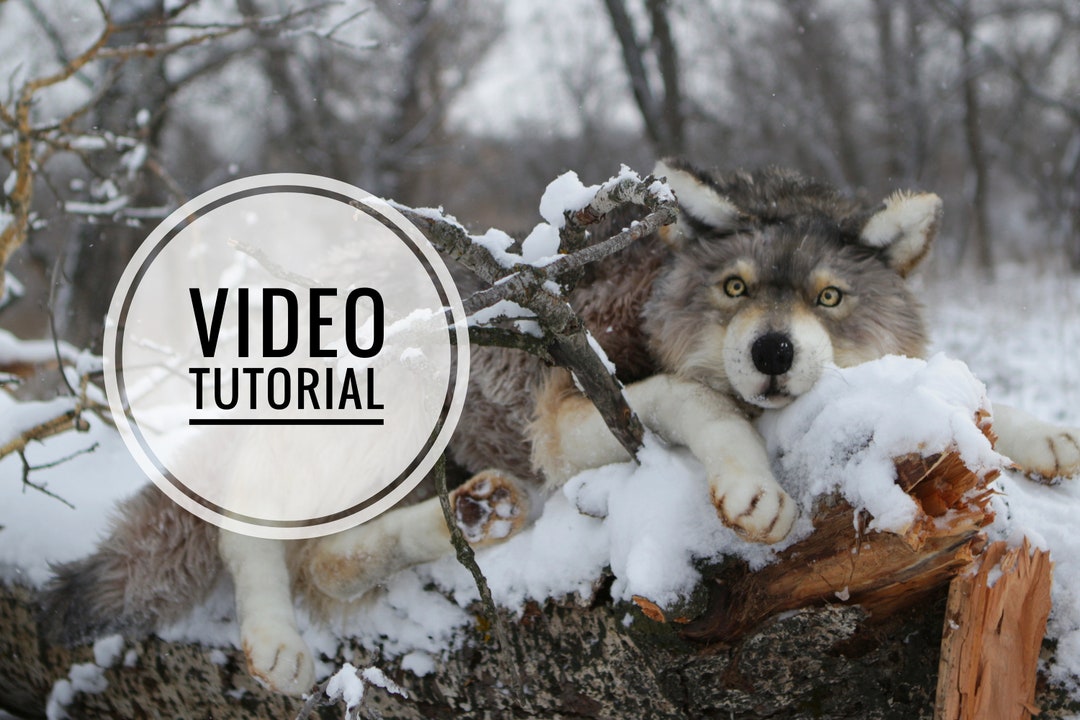 Wolf Sewing Pdf Pattern, Stuffed Animal, Teddy Bear Tutorial, Do It ...