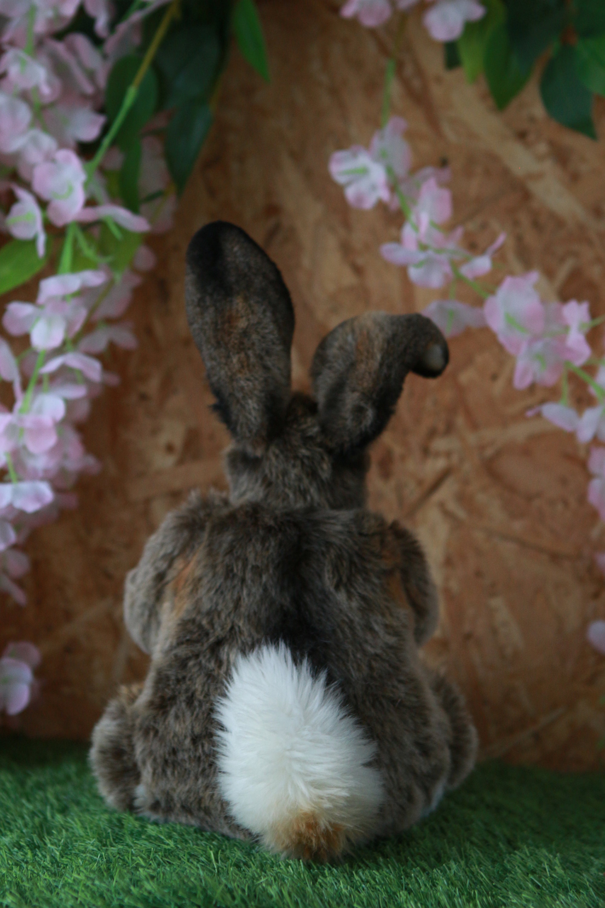 Rabbit Toy PDF Pattern, Beatrix Potter Sewing Pattern, Stuffed Bunny ...