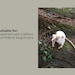 Realistic Plush Rat Sewing Pattern PDF – 25 Cm Stuffed Animal Tutorial ...