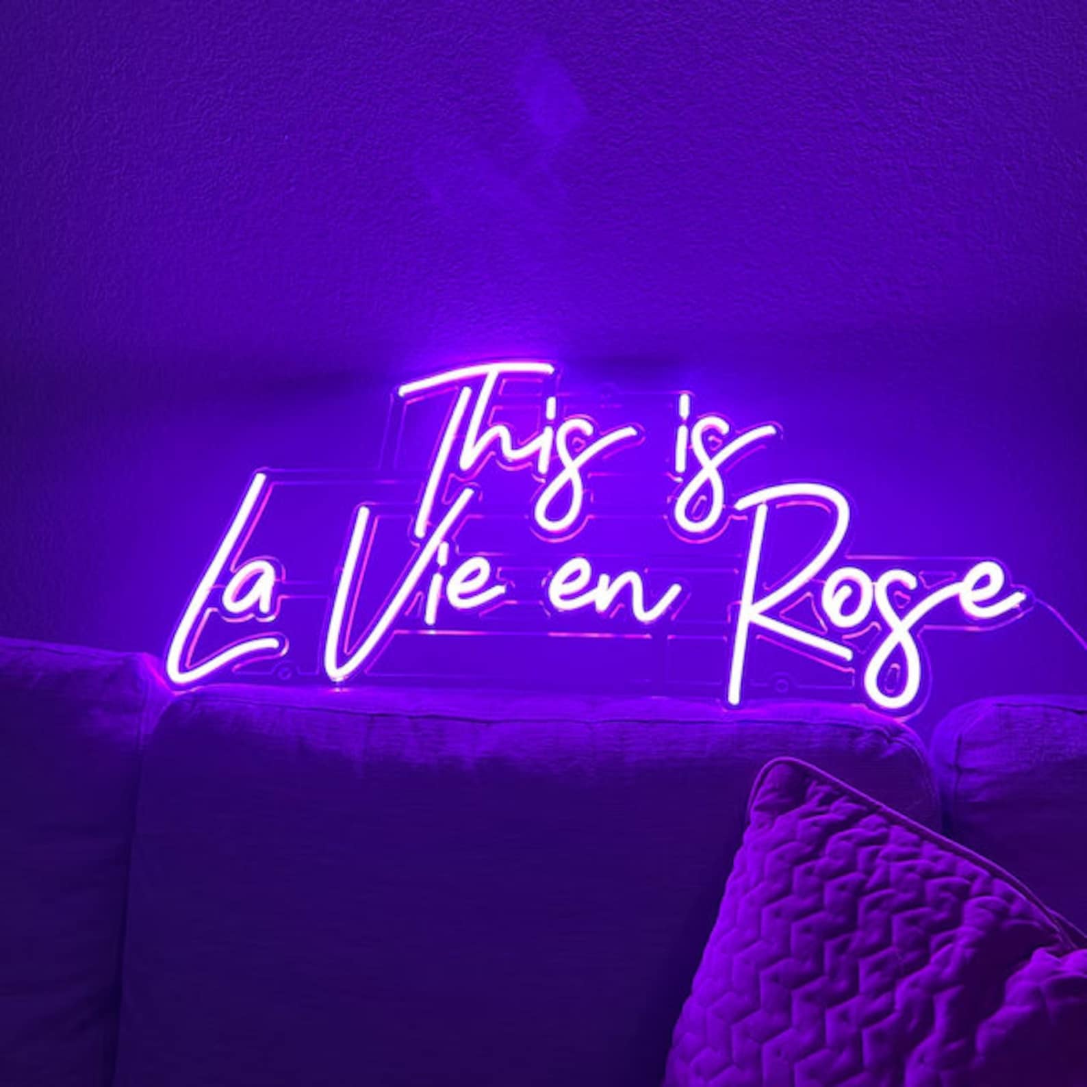 Personalized Aesthetic Neon Sign, Neon Sign, Wall Decor, LED Neon Light ...