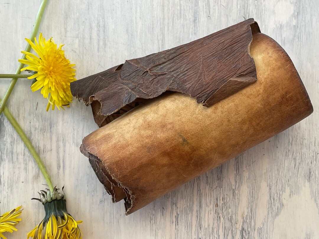 Antique Ethiopian Magic Prayer Scroll : Ethiopia African Ge'ez ...