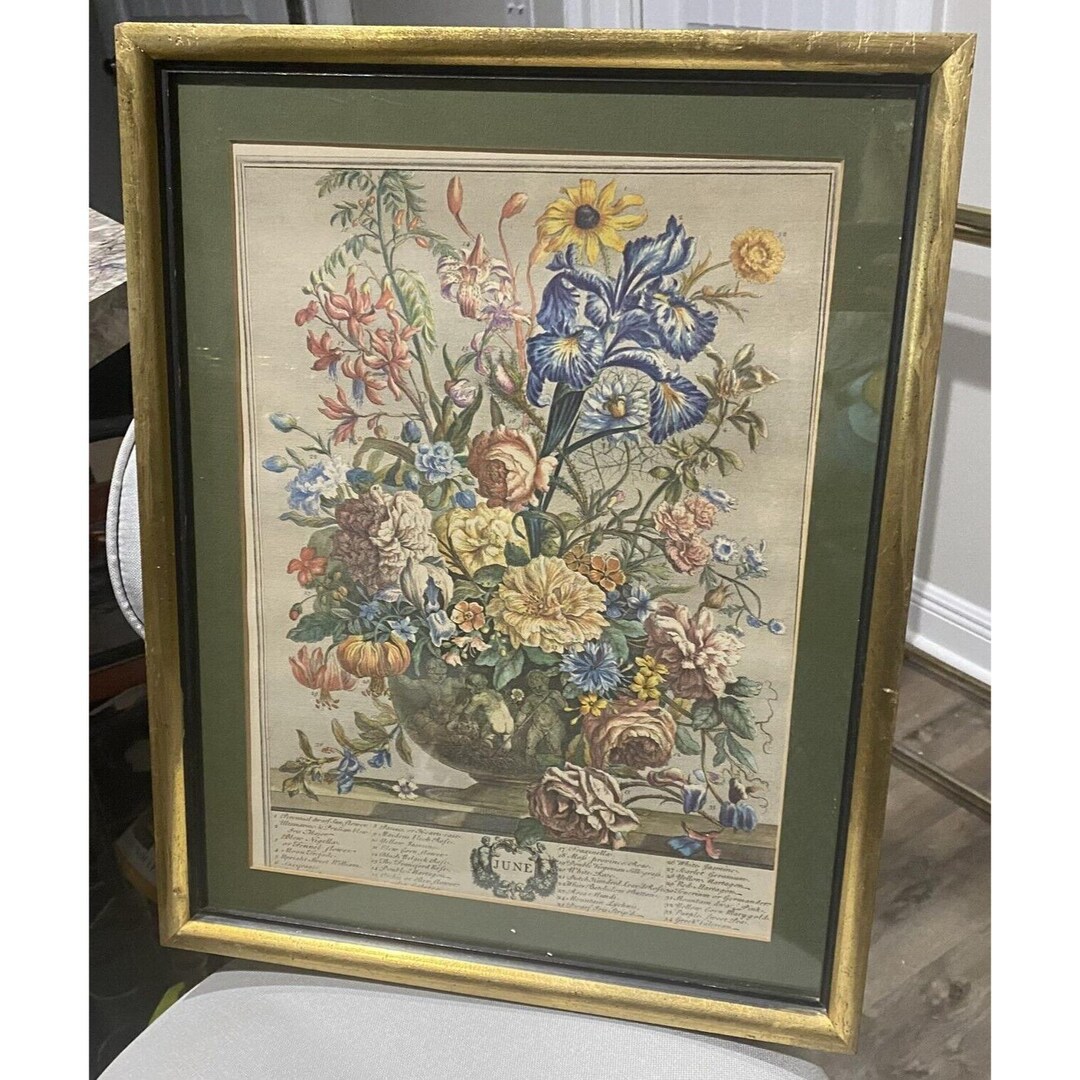 Robert Furber June Botanical Print Lithograph 1730 Kensington Framed ...