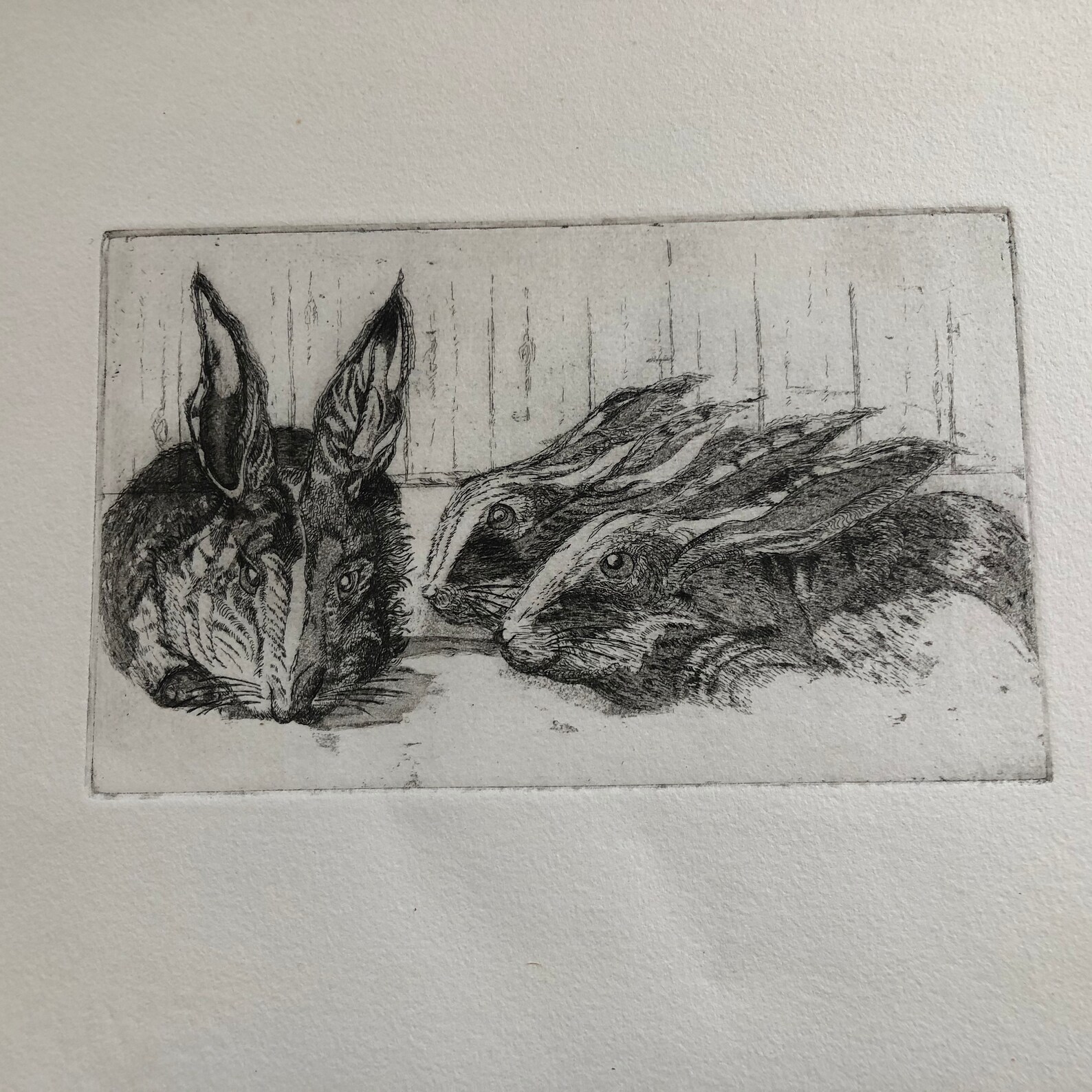 Rabbit Etching Woodcut Group of 3 Rabbits Bunnies Animal Art Easter ...