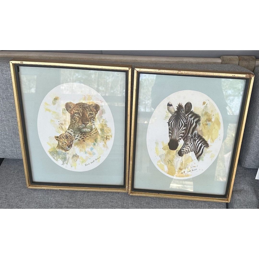 Doris Scott Nelson Lion and Zebra Framed Prints Animal Safari Art - Etsy