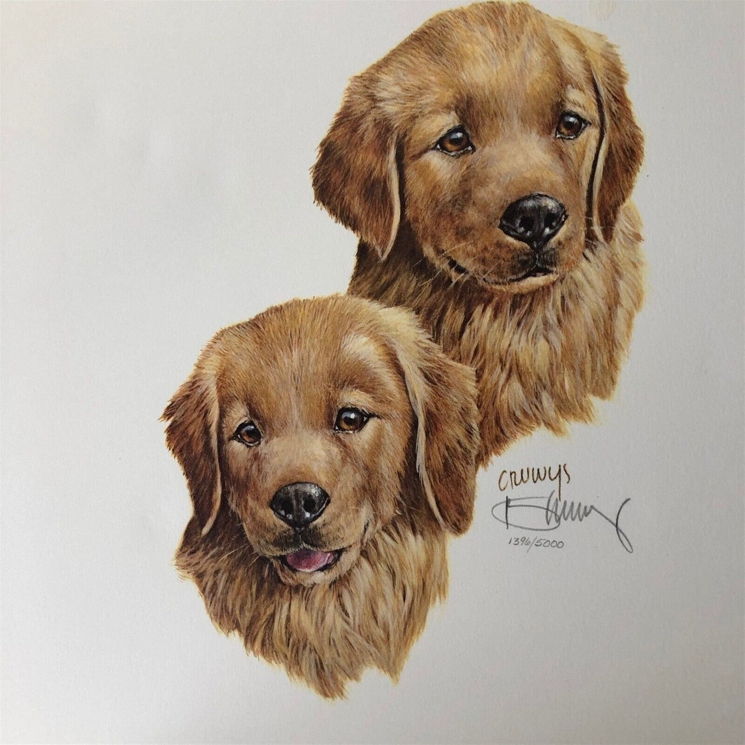 CRUWYS Golden Lab DOG PUPPY Print Signed and Numbered Labrador - Etsy