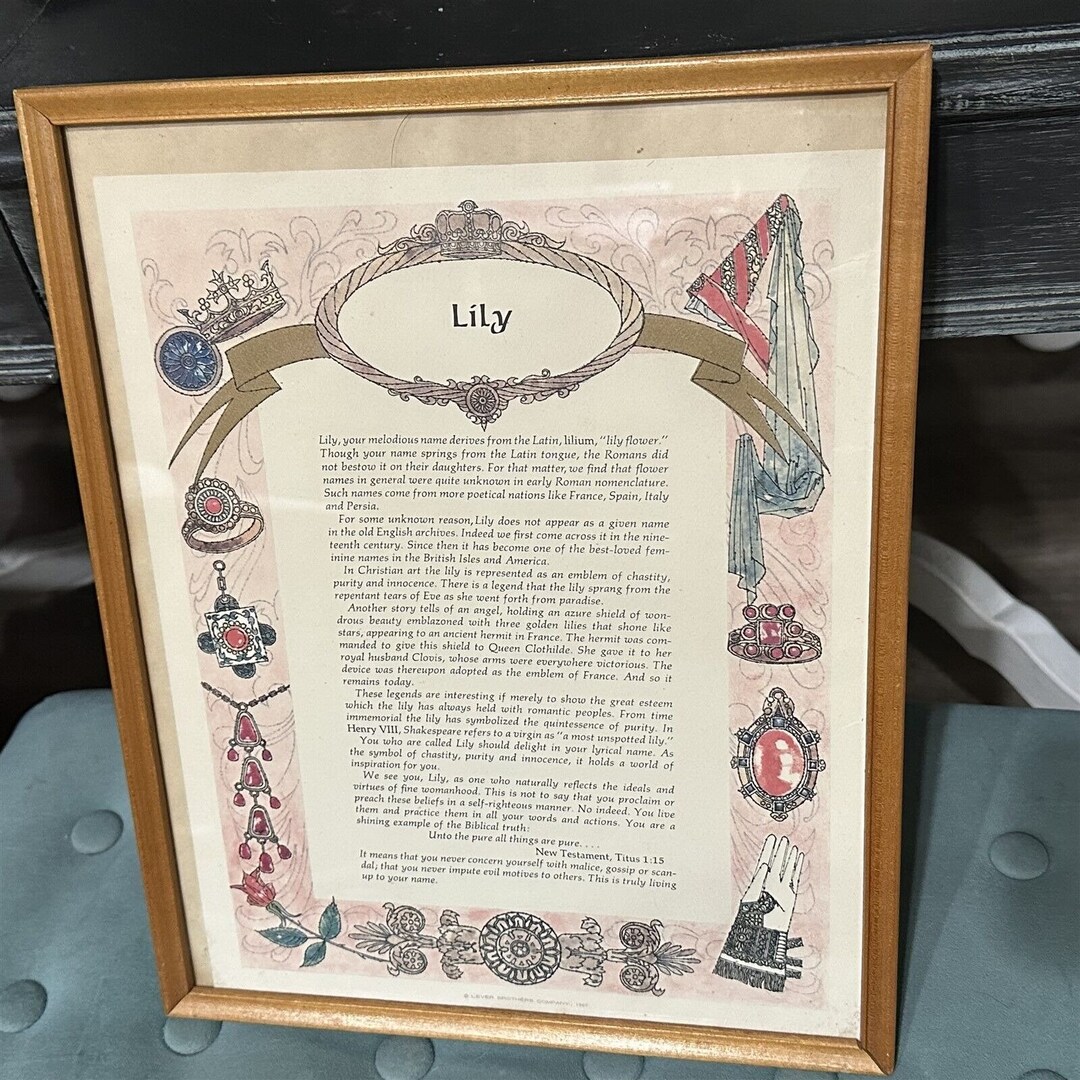 Vintage Lever Brothers Promotional Print Name Meaning LILY Mid Century ...