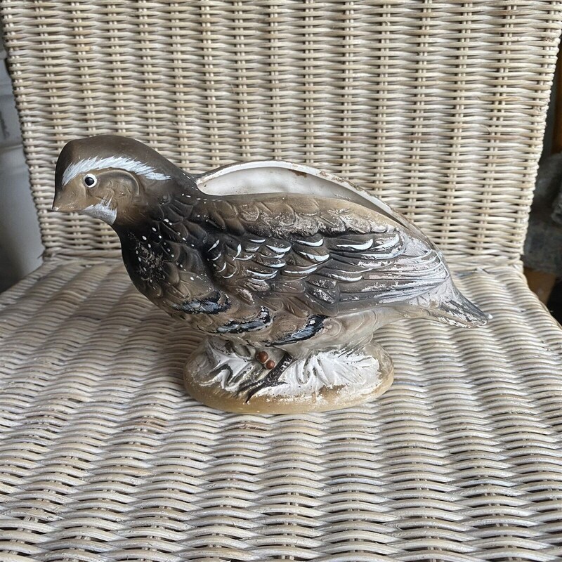 Bob White Quail - Etsy