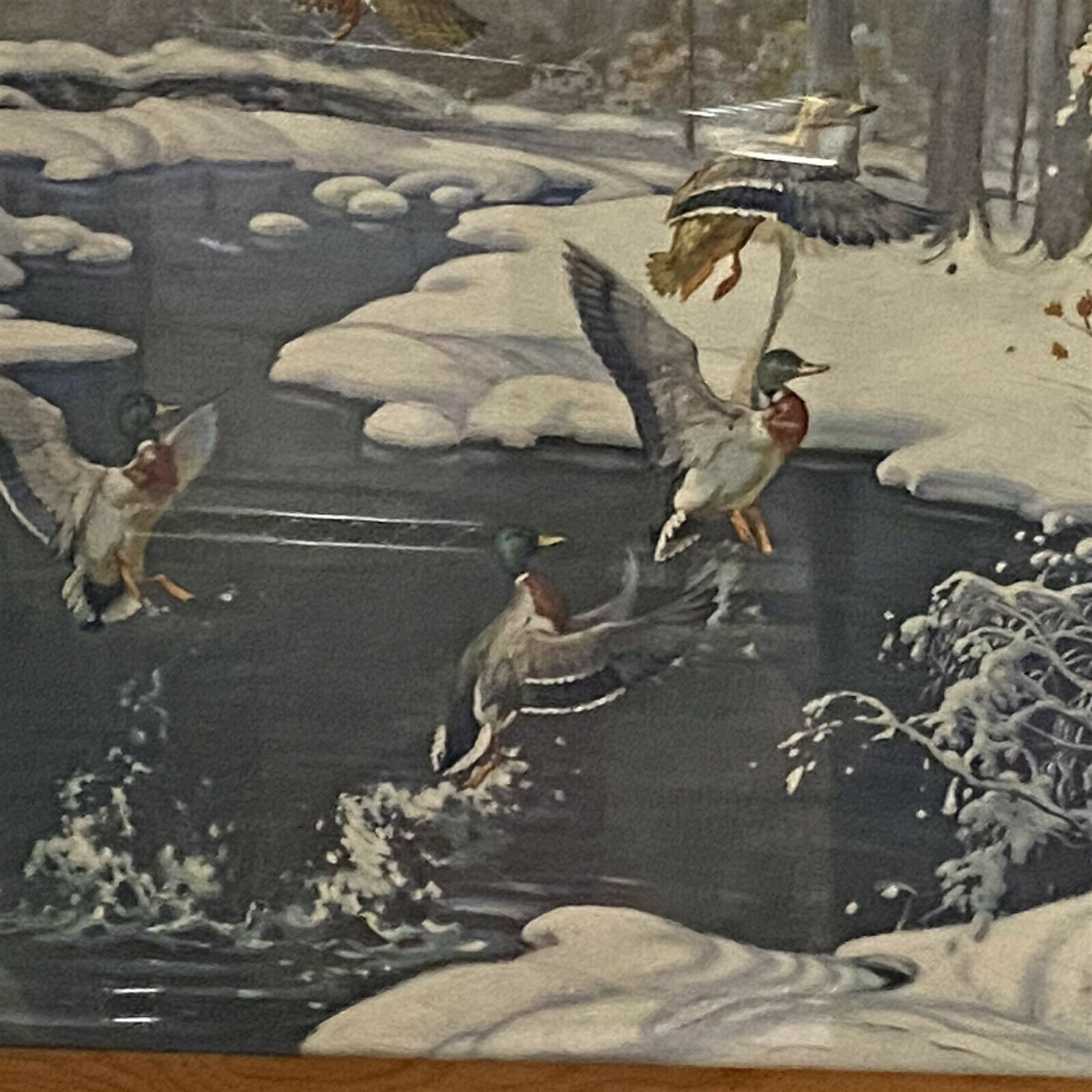 Vintage Mallard Duck Framed Print Louis Darling DUCKS IN - Etsy