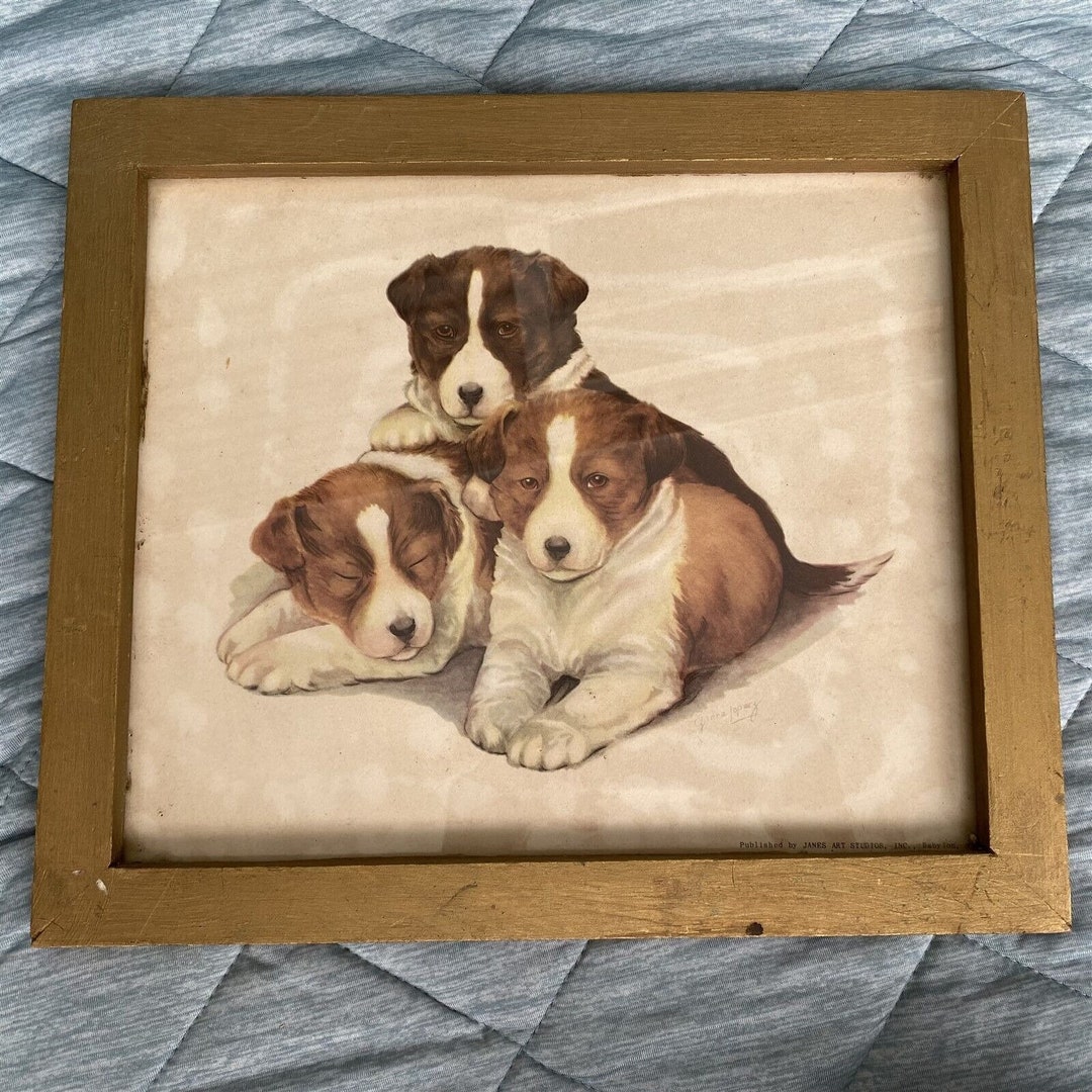 Vintage Puppy Framed Print Grace Lopez Framed Rustic Cute - Etsy