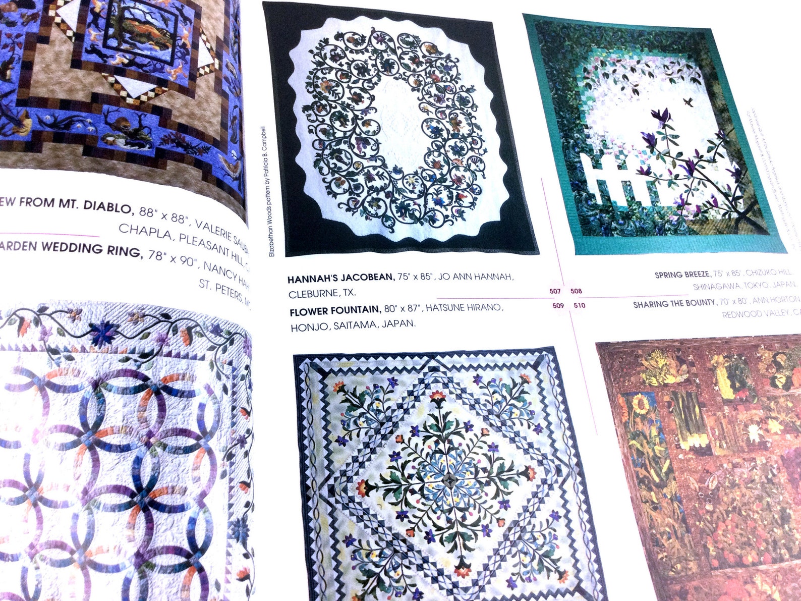 Award Winning Quilts AQS American Quilts Quilt Show | Etsy