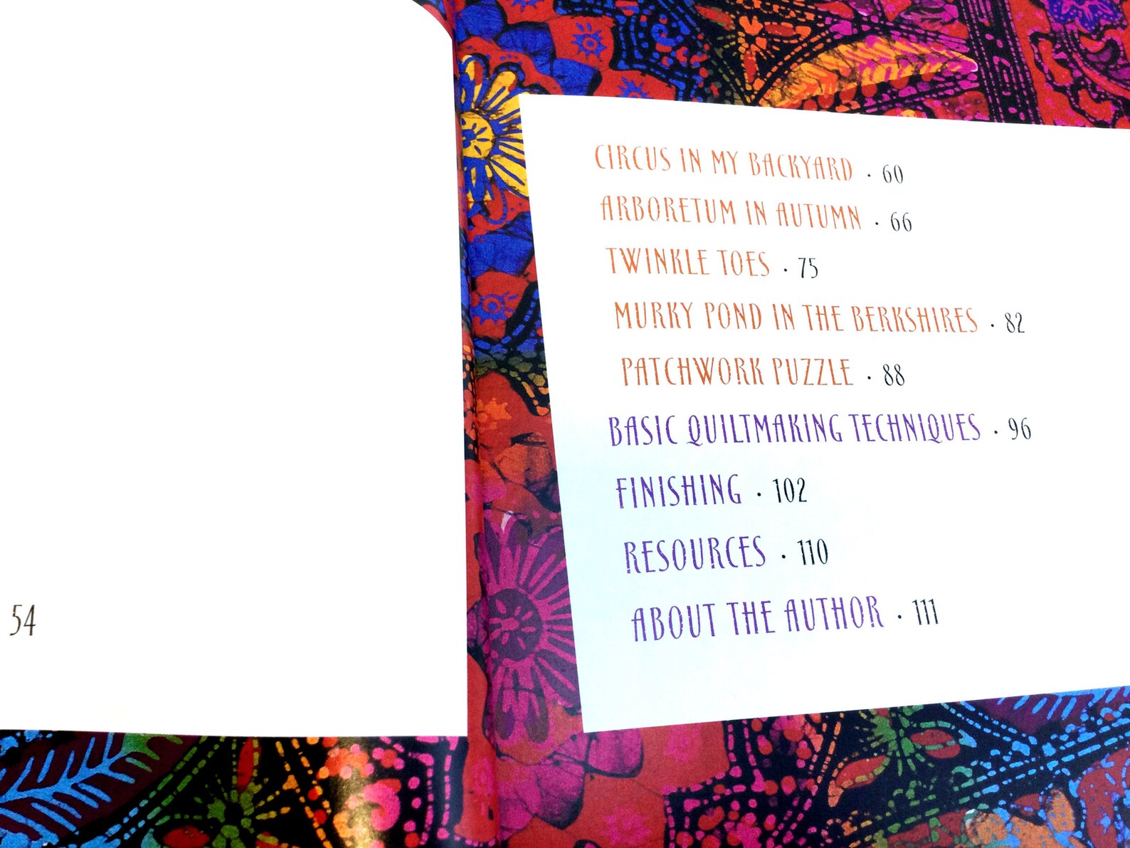 Batiks and Beyond Quilt Book: Batik Fabric Patterns by Laurie Shifrin ...