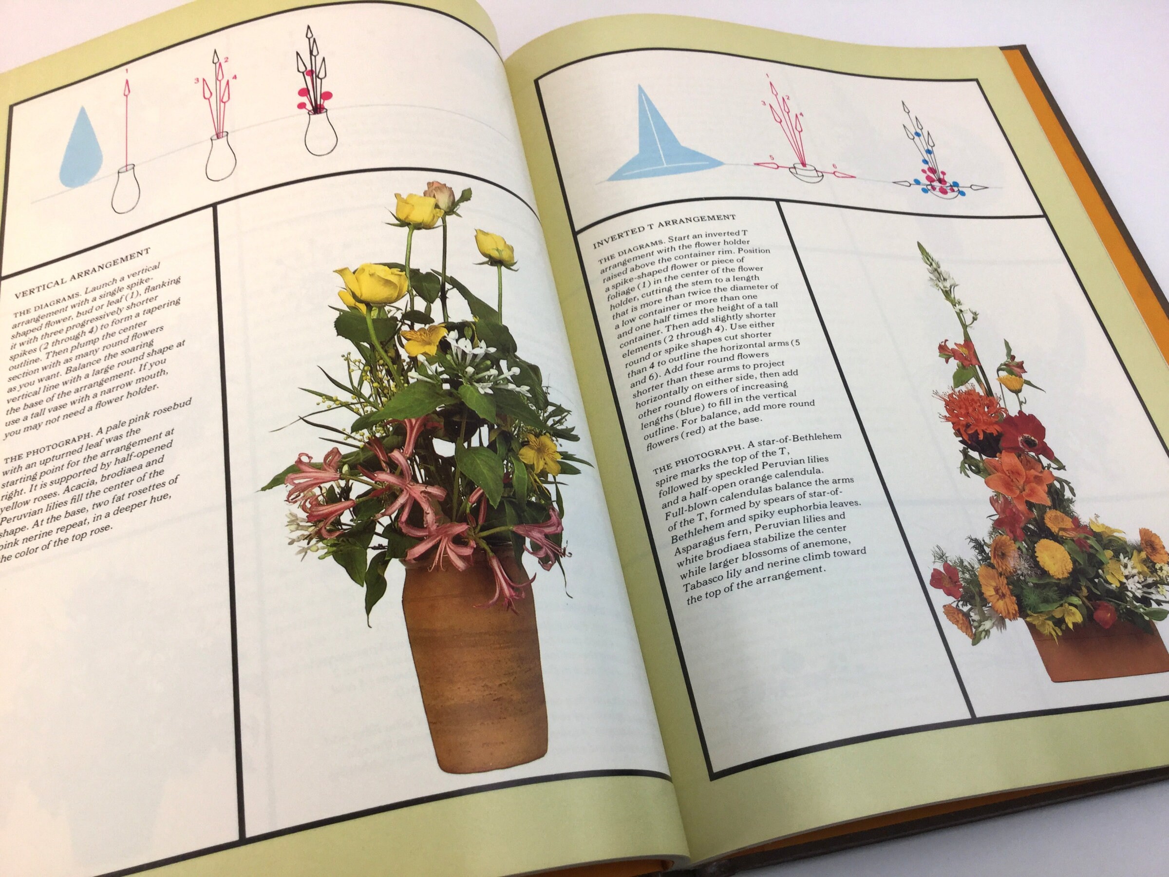 Decorating With Plants Houseplants Flowers Flower | Etsy