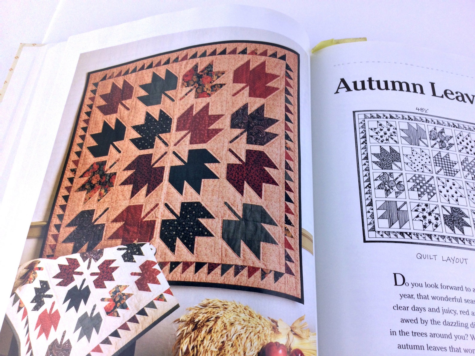Quick Country Quilts Debbie Mumm Quilt Book Quilt Pattern | Etsy