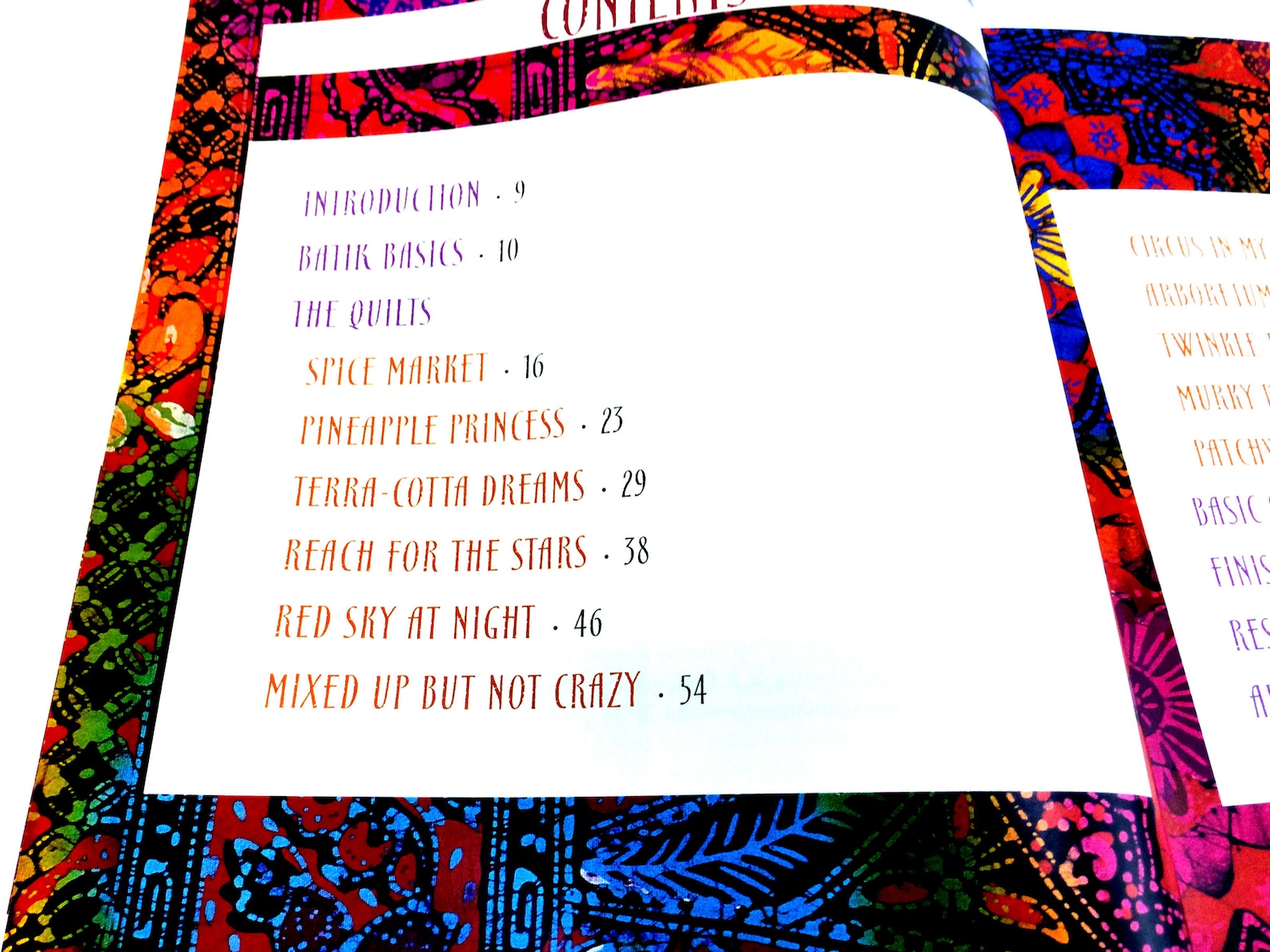 Batiks and Beyond Quilt Book: Batik Fabric Patterns by Laurie Shifrin ...