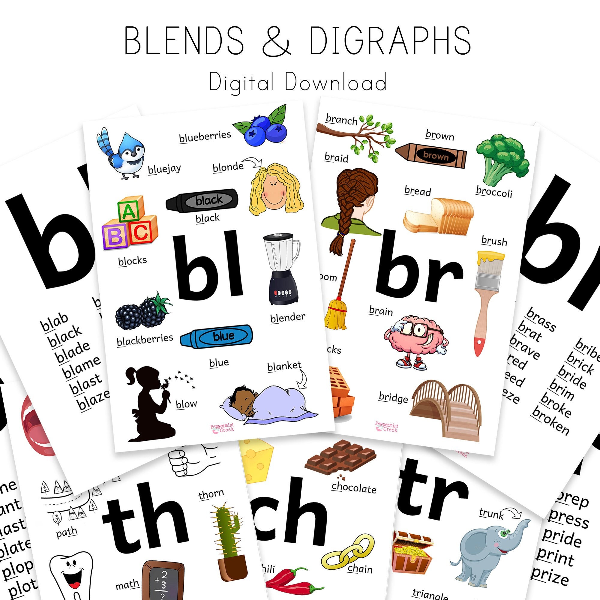 Blends and Digraphs Digital Download, Learn to Read, Phonics Flashcards ...