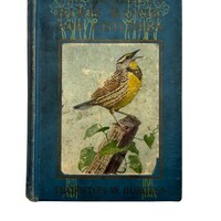 Burgess Bird Book for Children Book Companion & Notebooking Guide ...